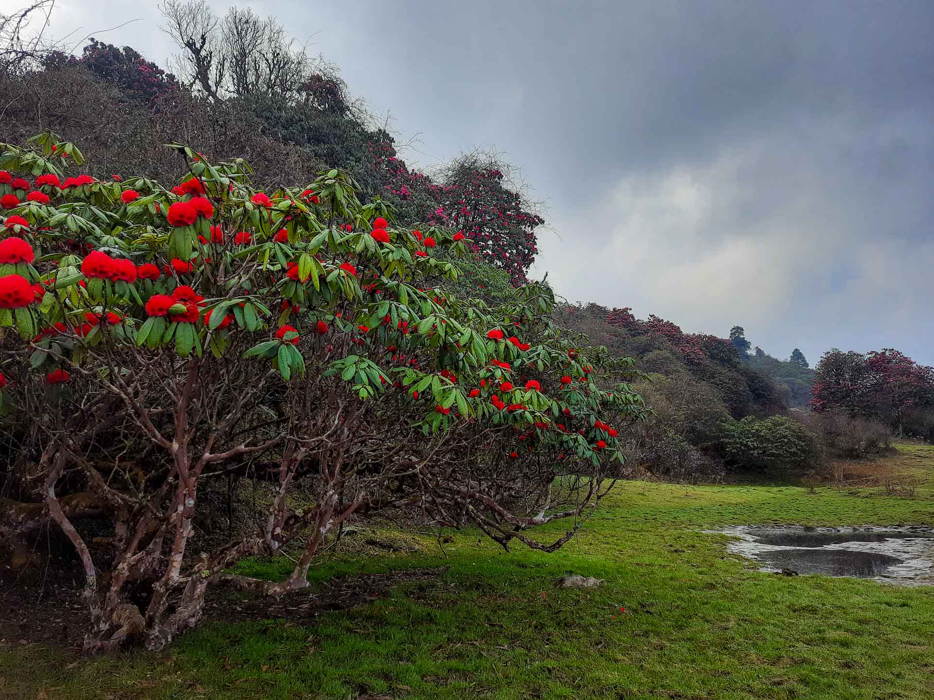 Hritu, The Six Seasons of Nepal